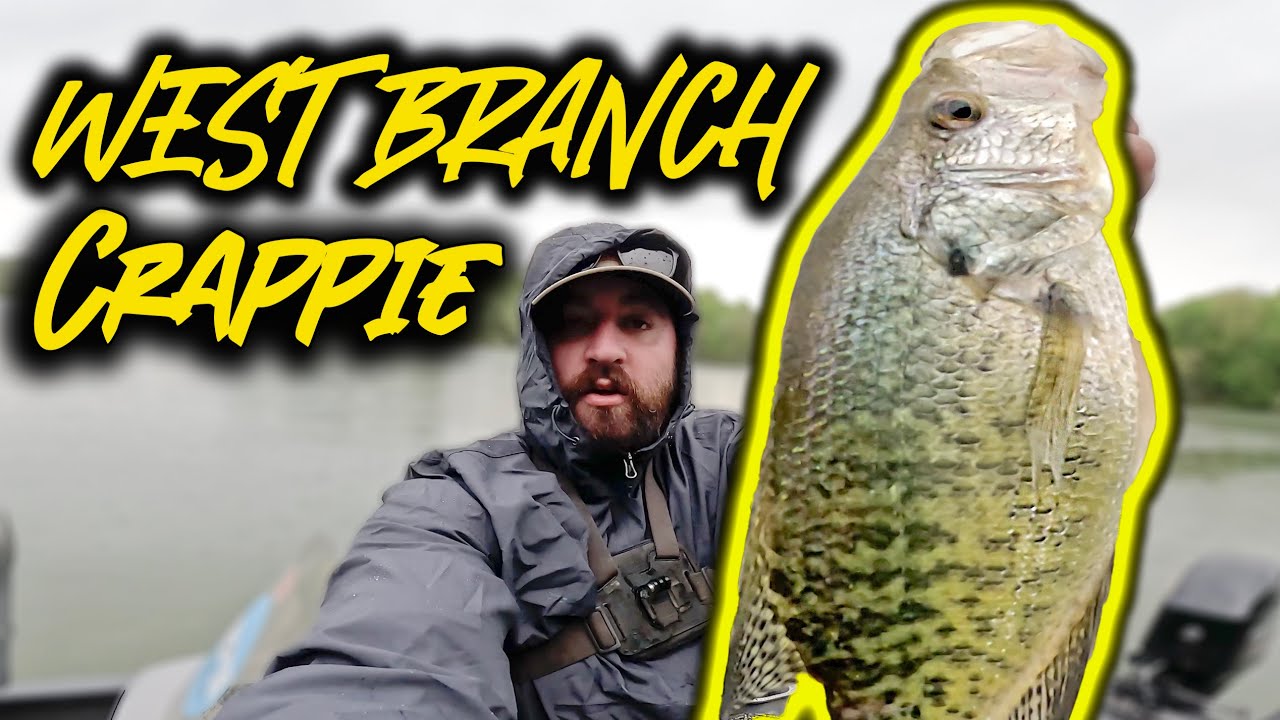 Crappie Fishing West Branch Lake for Big Ohio Crappie!! - YouTube