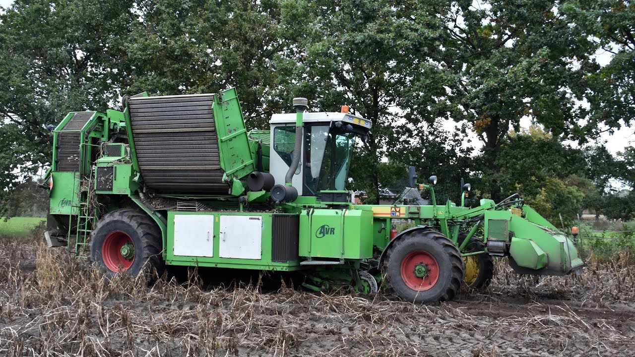 Aardappelen rooien met AVR ARB 230 - YouTube