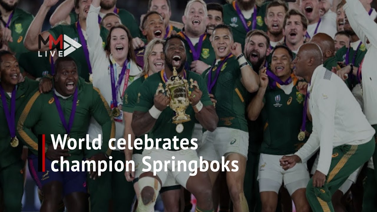 Breaking records & a shoutout from Federer: Springboks celebrated ...