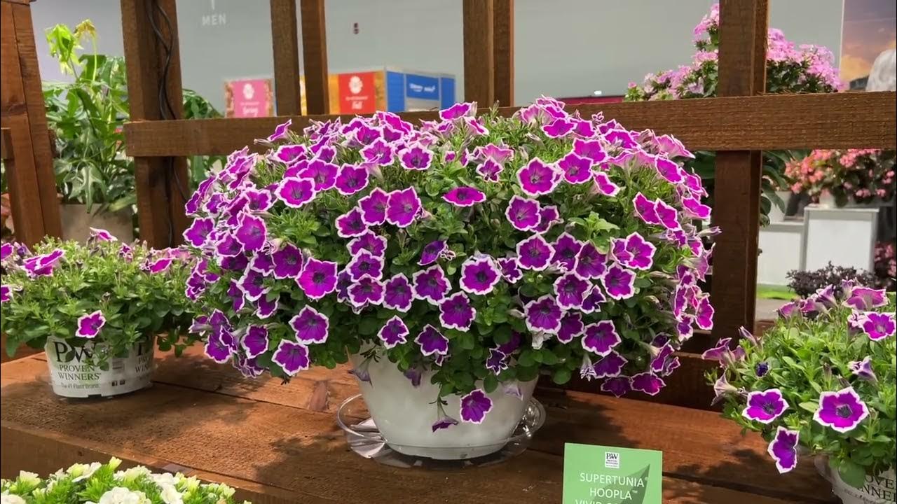New Proven Winners Plants 2024 Featured at Cultivate - YouTube