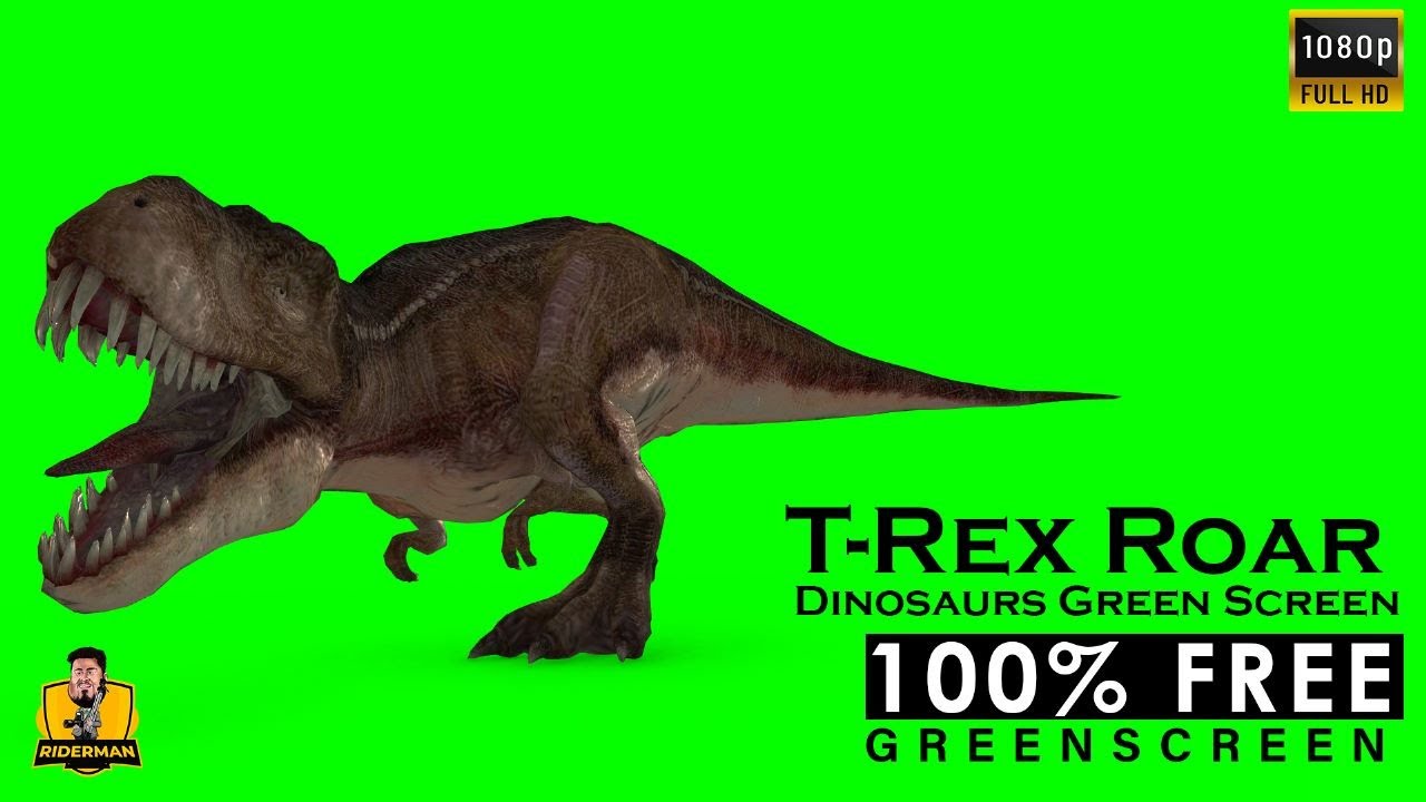 T-Rex Roar - Dinosaurs Green Screen #greenscreen #dinosaur - YouTube