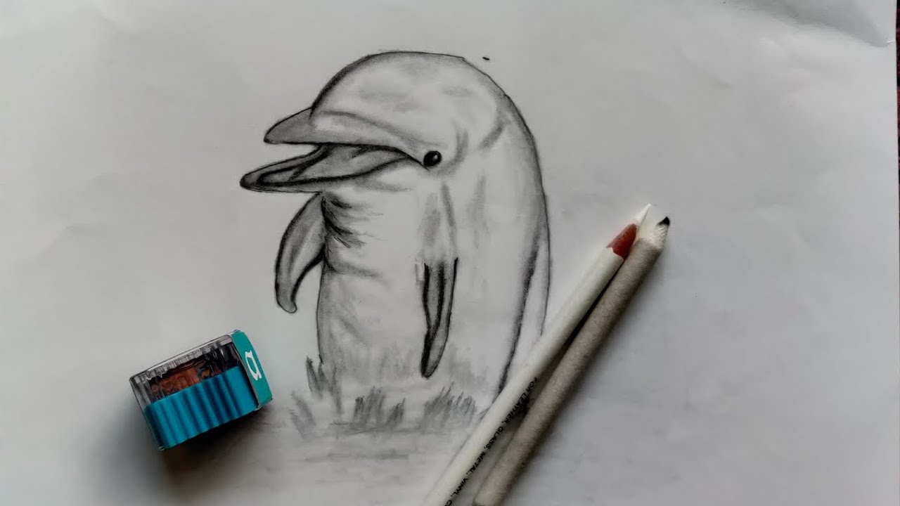 Easy and Simple Dolphin Drawing || Drawing Art || Draw'art Mehul - YouTube