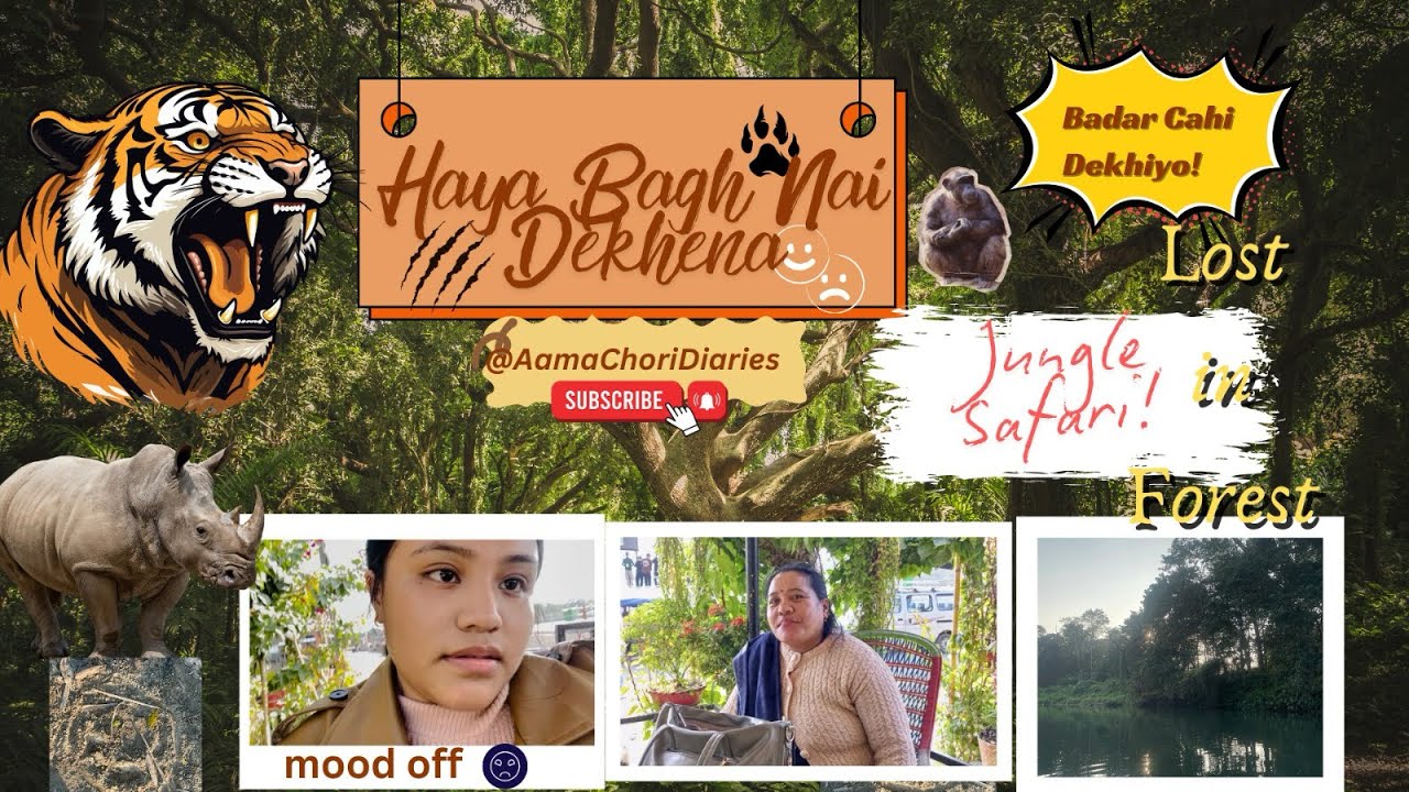 Haaya, Bagh nai dekhena! Mood off | Jungle safari😏 But nature healed 😁 ...