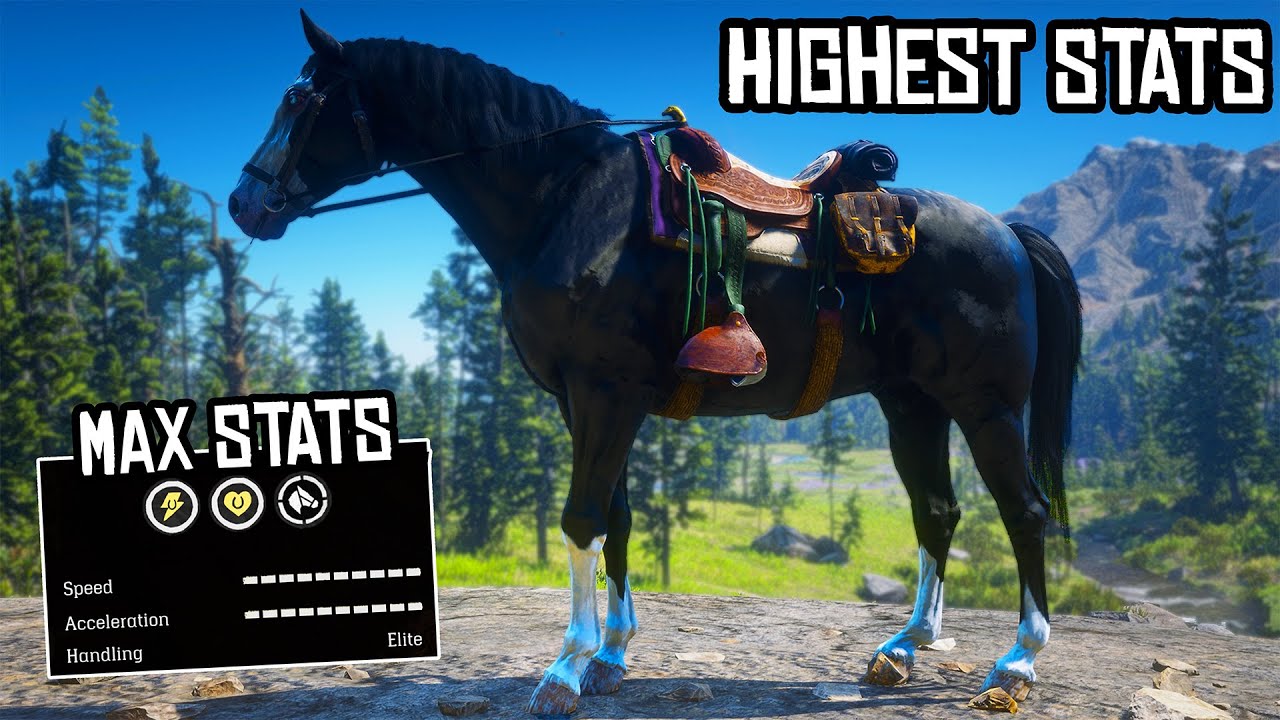 Horses with the Highest Stats - Red Dead Redemption 2 - YouTube
