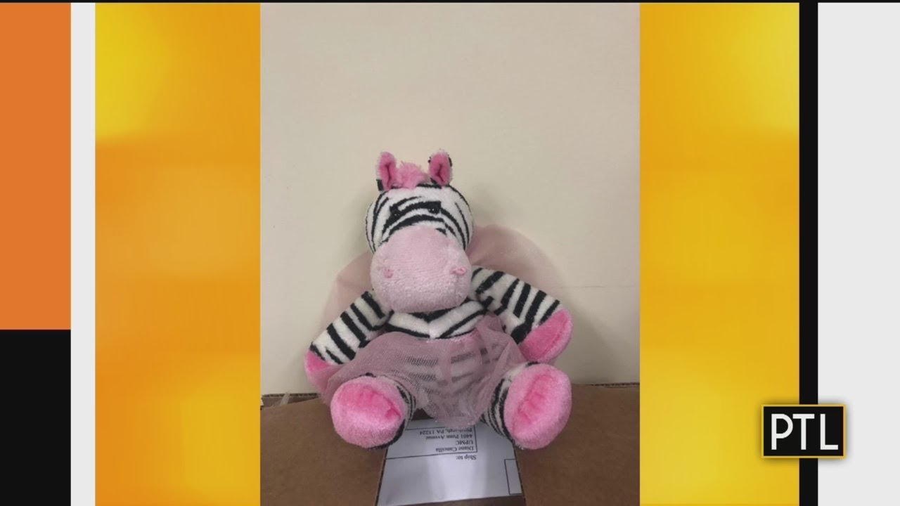 UPMC Children’s Hospital Searches For Owner Of Left-Behind Toy - YouTube