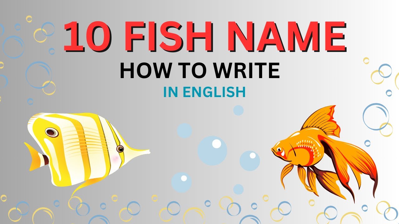 10 Fish name in English | common fish | easy fish name for kids ...