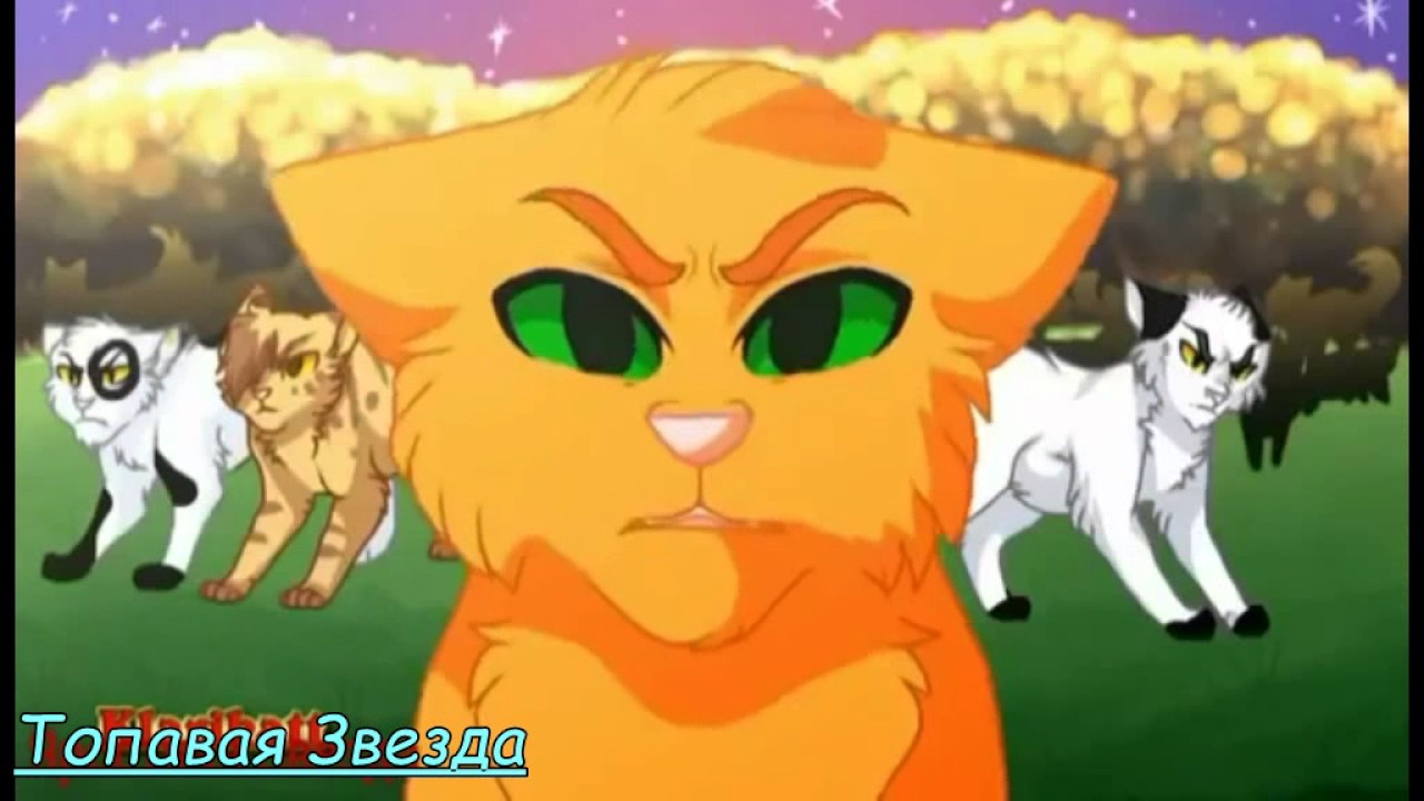 Коты воители Бич и Огнезвёзд Непохожи Заказ Youtube