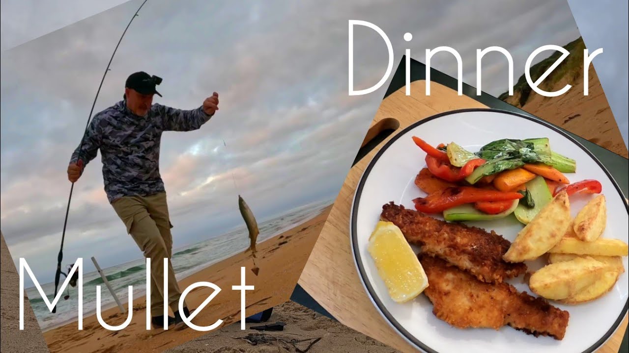 Catch A Feed From The Beach. ep125 - YouTube