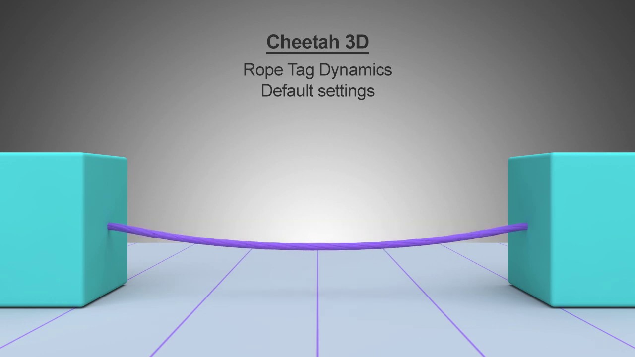 Rope Force Dynamics