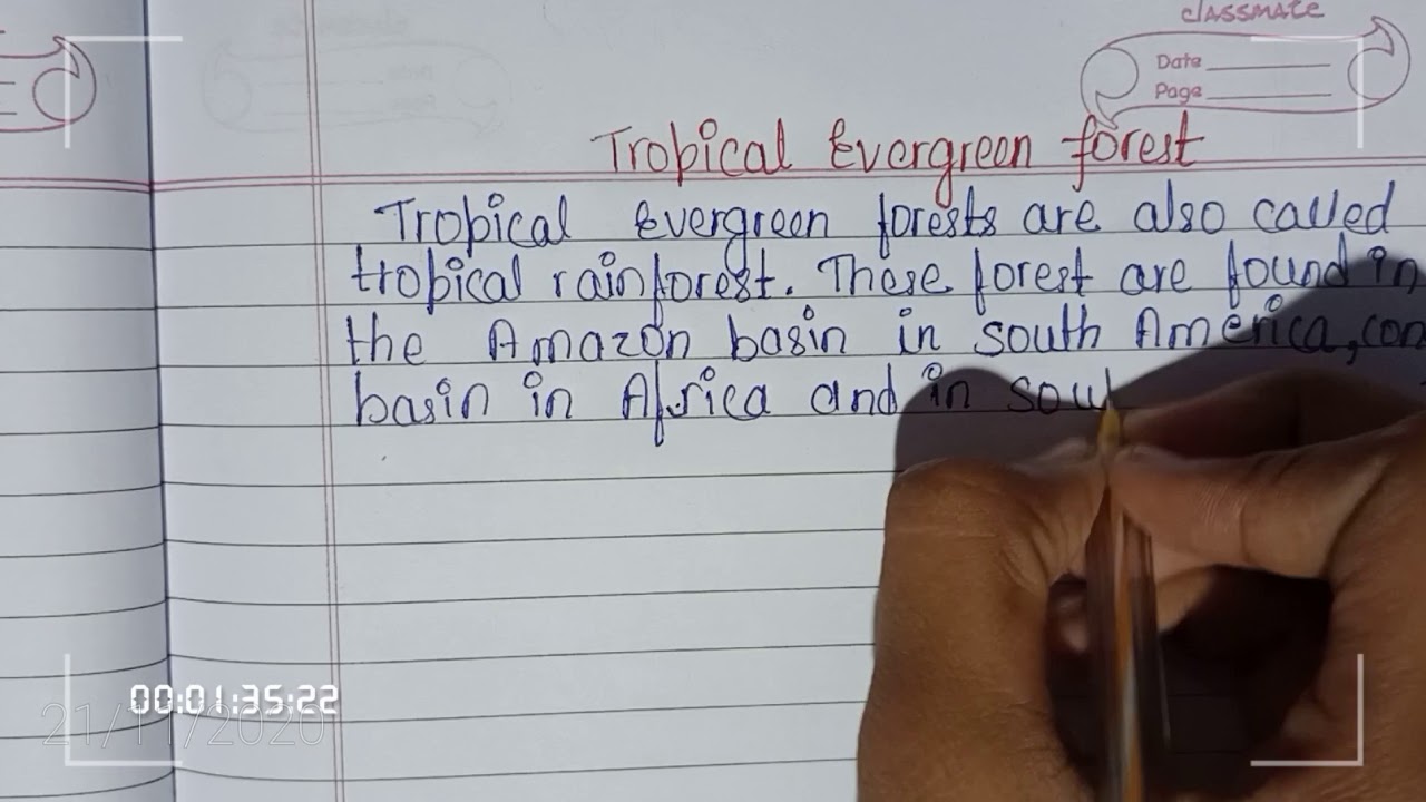 Handwriting on the essay Tropical rainforest//𝑯𝒂𝒏𝒅𝒘𝒓𝒊𝒕𝒊𝒏𝒈 - YouTube