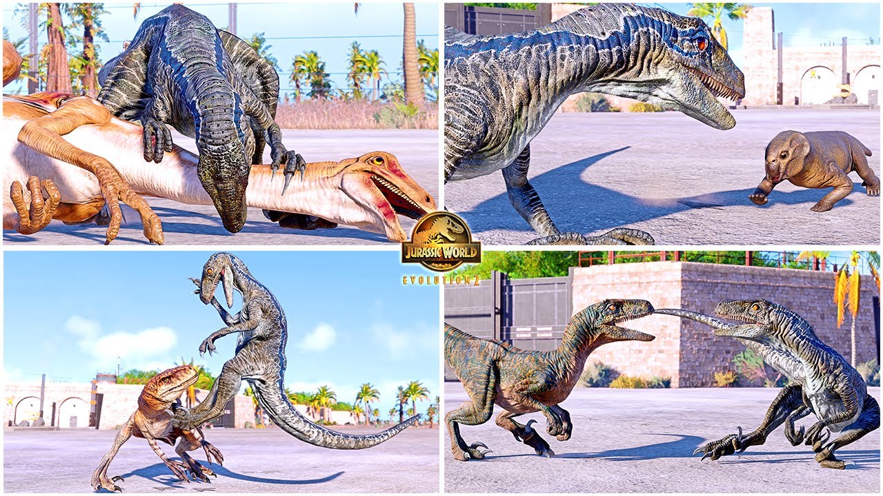 Blue, Echo & Other Velociraptors All Perfect Animations & Interactions ...