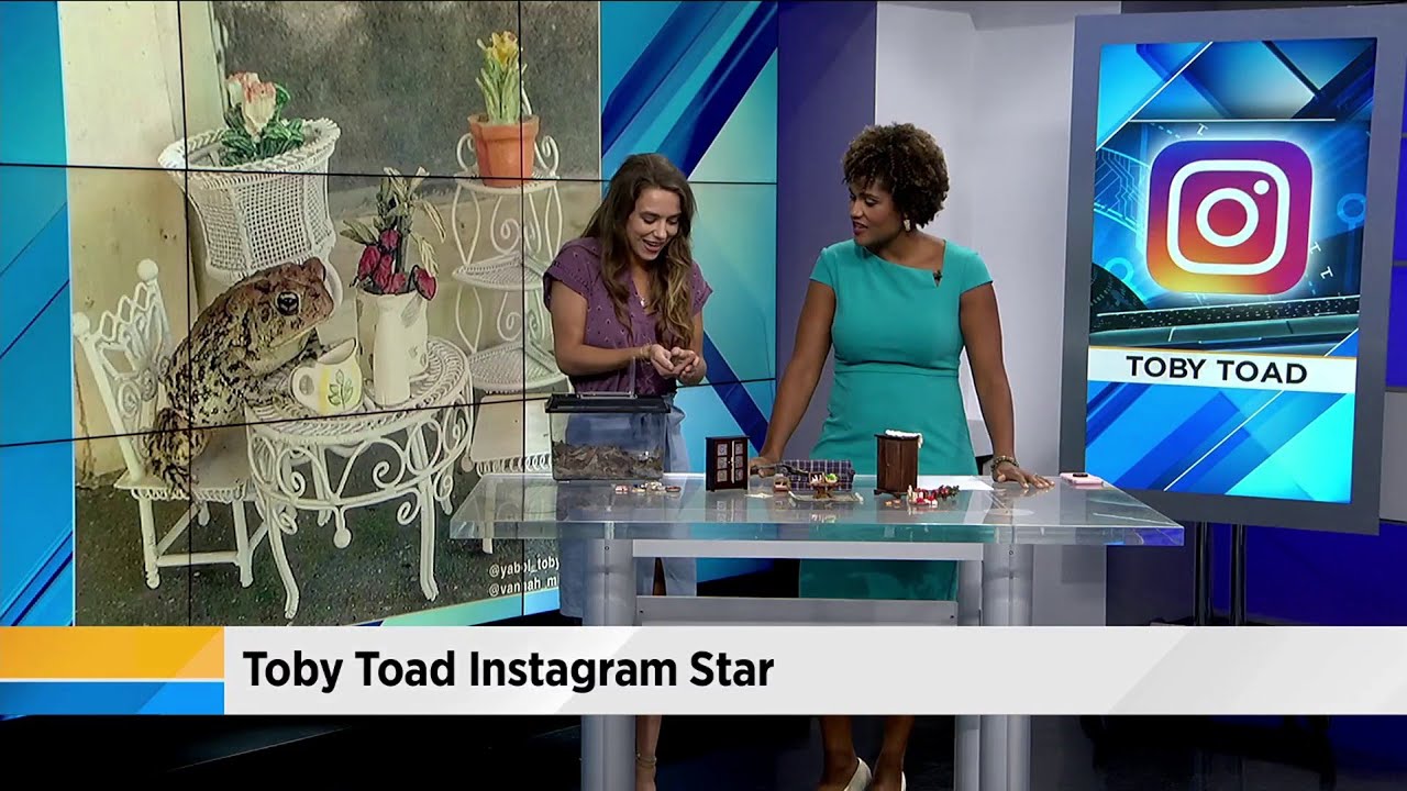 Toby Toad Instagram star joins us on The Morning Show - YouTube