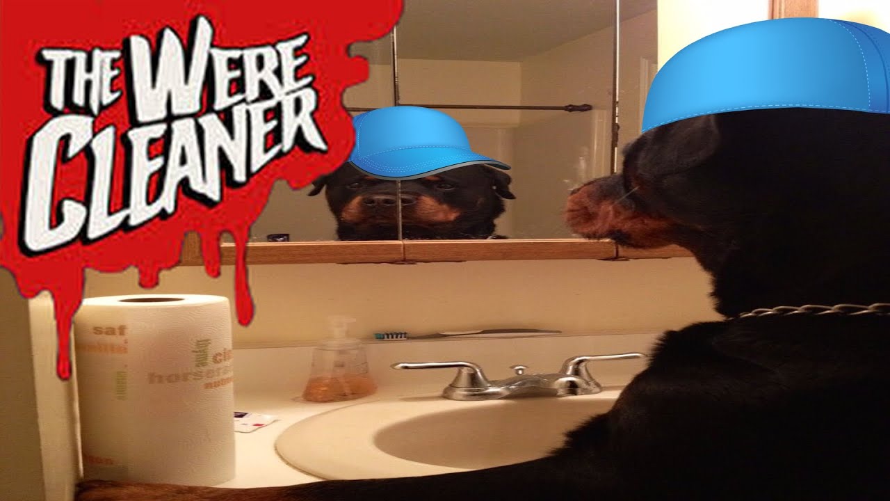 YouTuber By Day, Werewolf Janitor By Night! | The WereCleaner | - YouTube