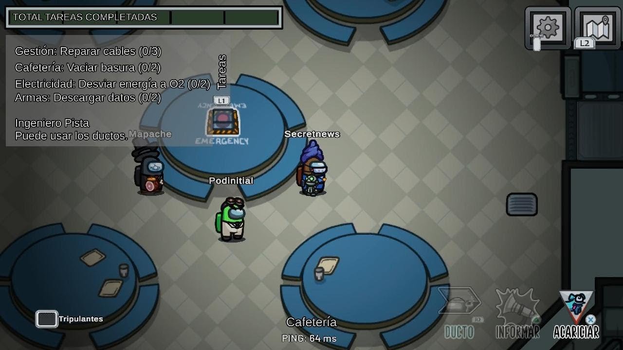 Otro mapache - YouTube