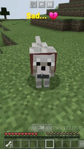 Sad💔 minecraft dog story😭 || #shorts #youtubeshorts #Minecarft - YouTube
