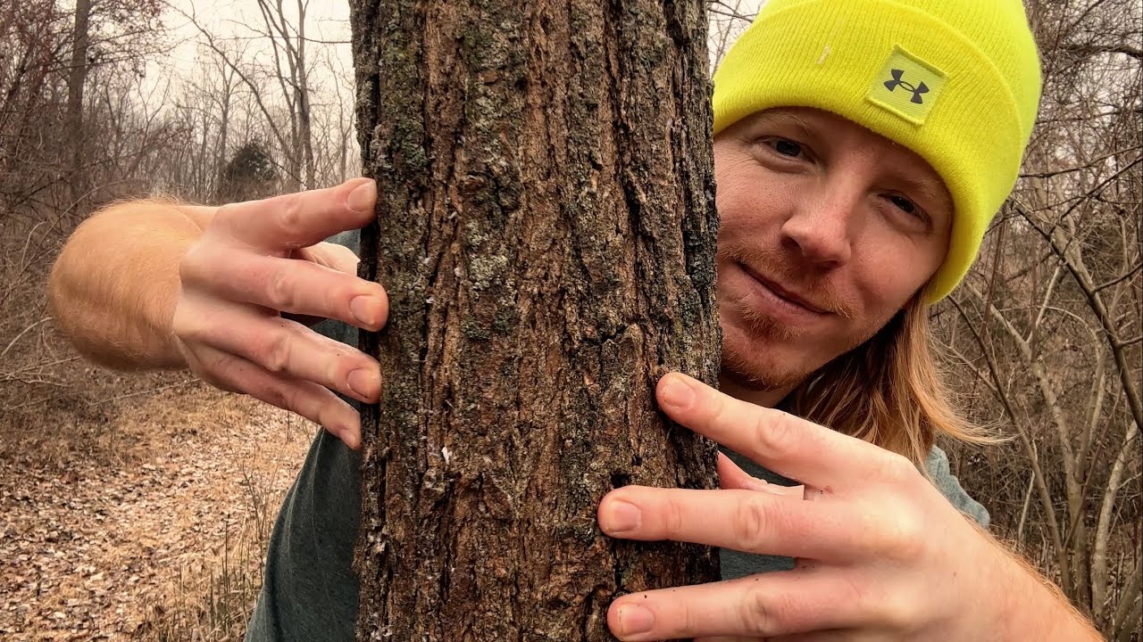 Asmr Giving The Trees A Massage 🌳 Part 2 Youtube