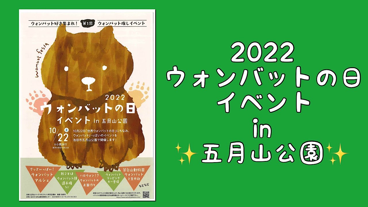 【wombat】2022 ウォンバットの日イベント☆(World Wombat Day 10/22) - YouTube