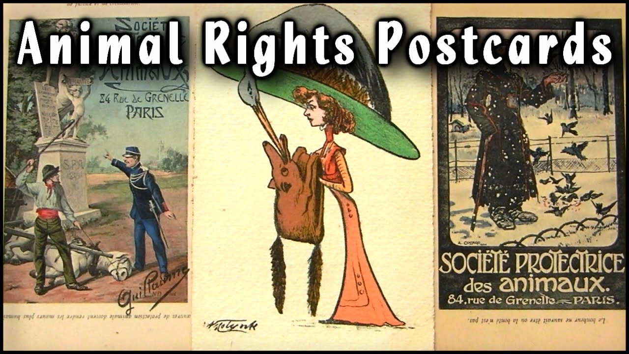 Animal Rights History on Vintage Poscards - YouTube