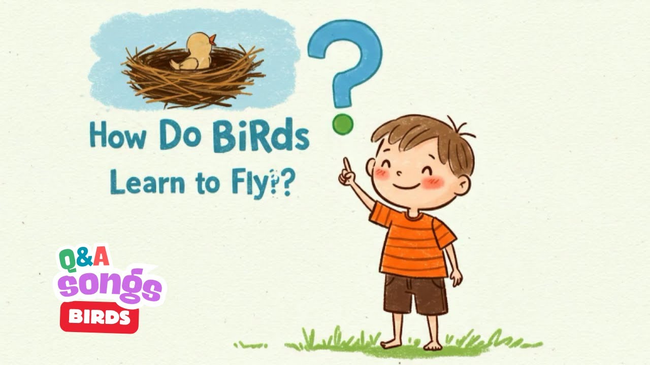 How Do Birds Learn to Fly? | Why, Oh Why? | Nursery Rhymes & Kids Songs ...