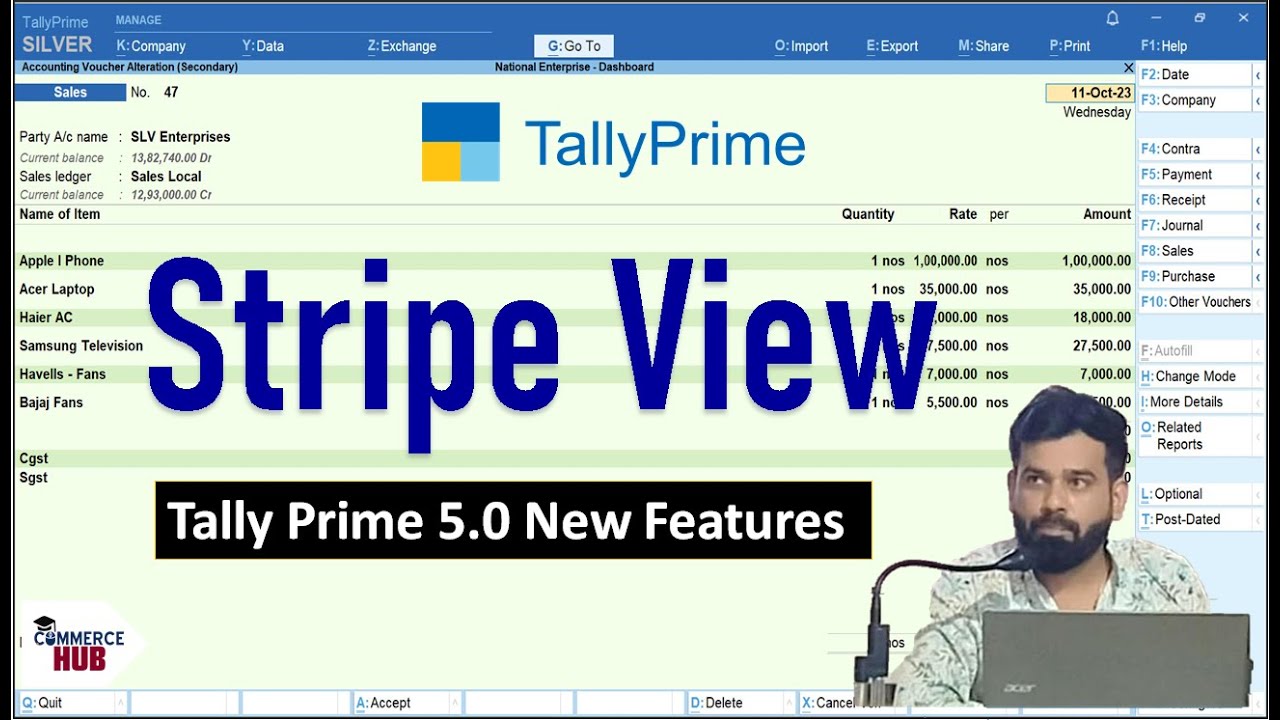 Stripe View in Tally Prime 5.0 | How to Enable Stripe View in Tally ...