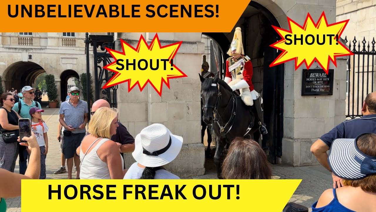 UNBELIEVABLE! HOW MANY TIMES THEY GOT SHOUTED AT! - YouTube