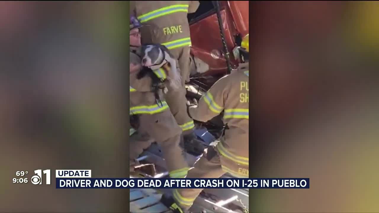 WATCH: Driver and dog die following crash in Colorado along I-25, 2nd ...