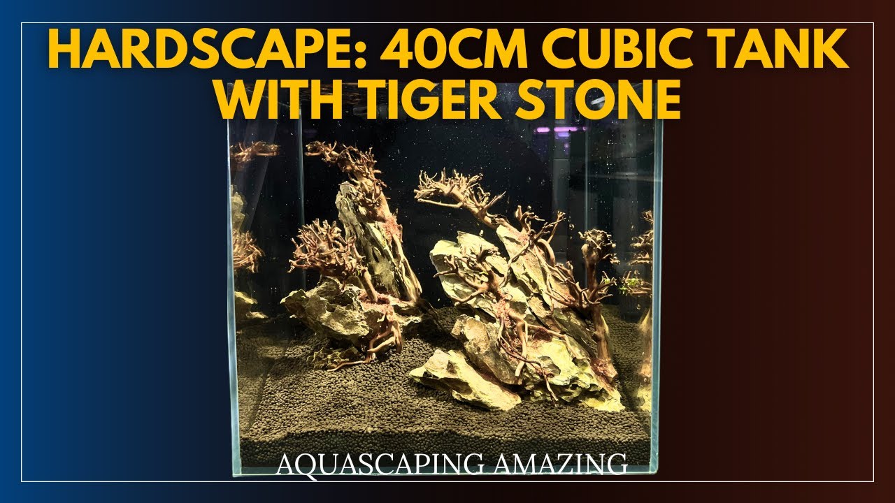 Crafting a Natural Aquascape: 40cm Cubic Tank with Tiger Stones - YouTube