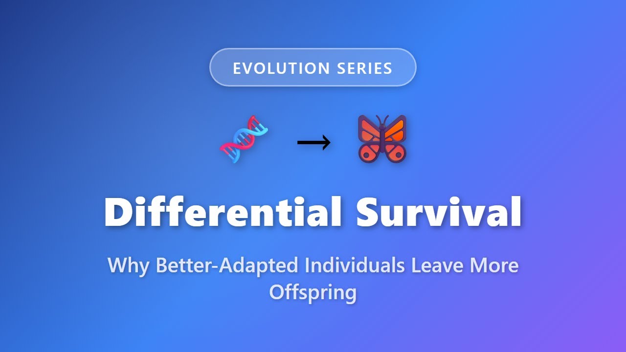 Differential Survival: How Better-Adapted Organisms Leave More ...