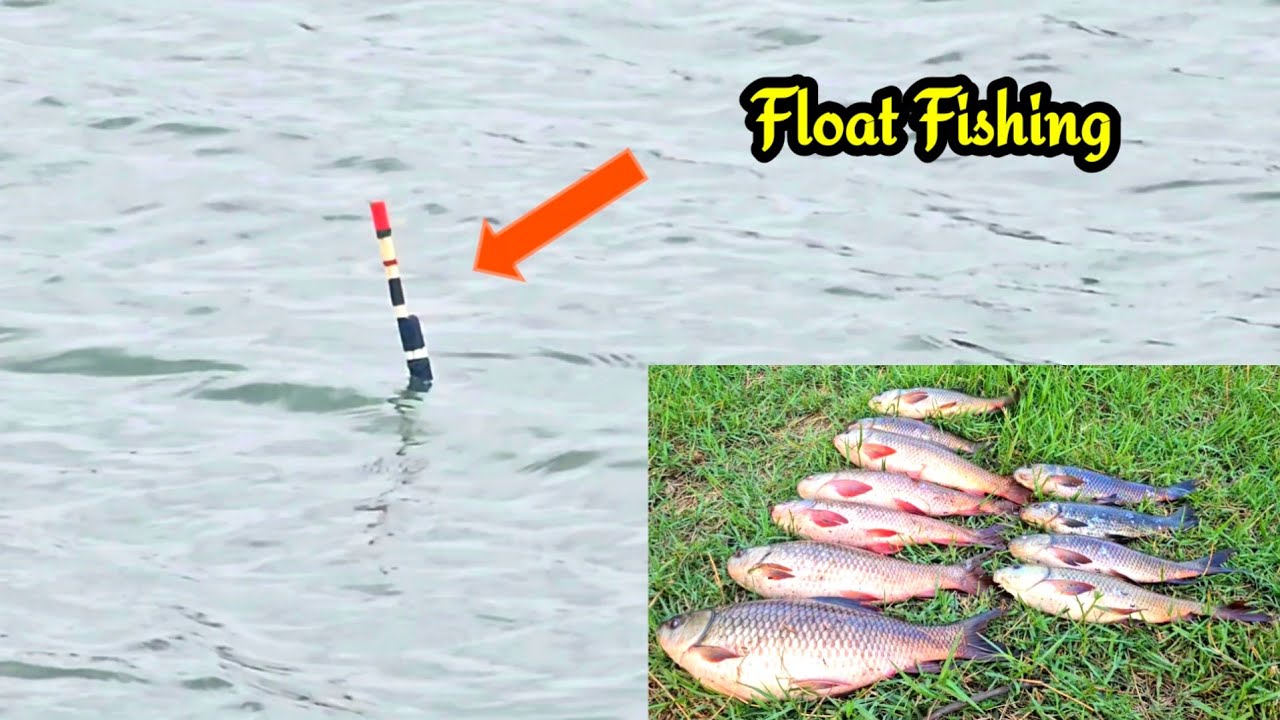 Single Hook Fishing with Float || Big Rohu Fishes Catching || River ...