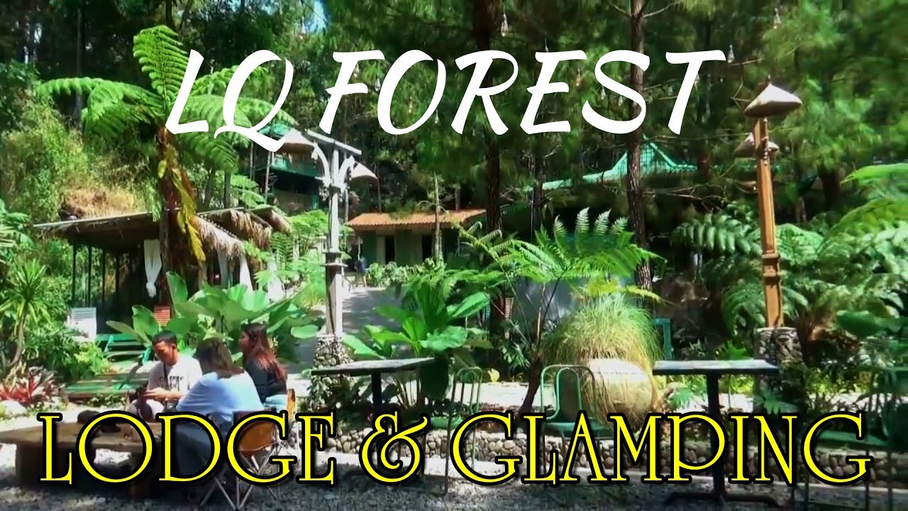 LQ Forest, Lodge dan Glamping Berkonsep Jadul di Bukit Lambosir ...