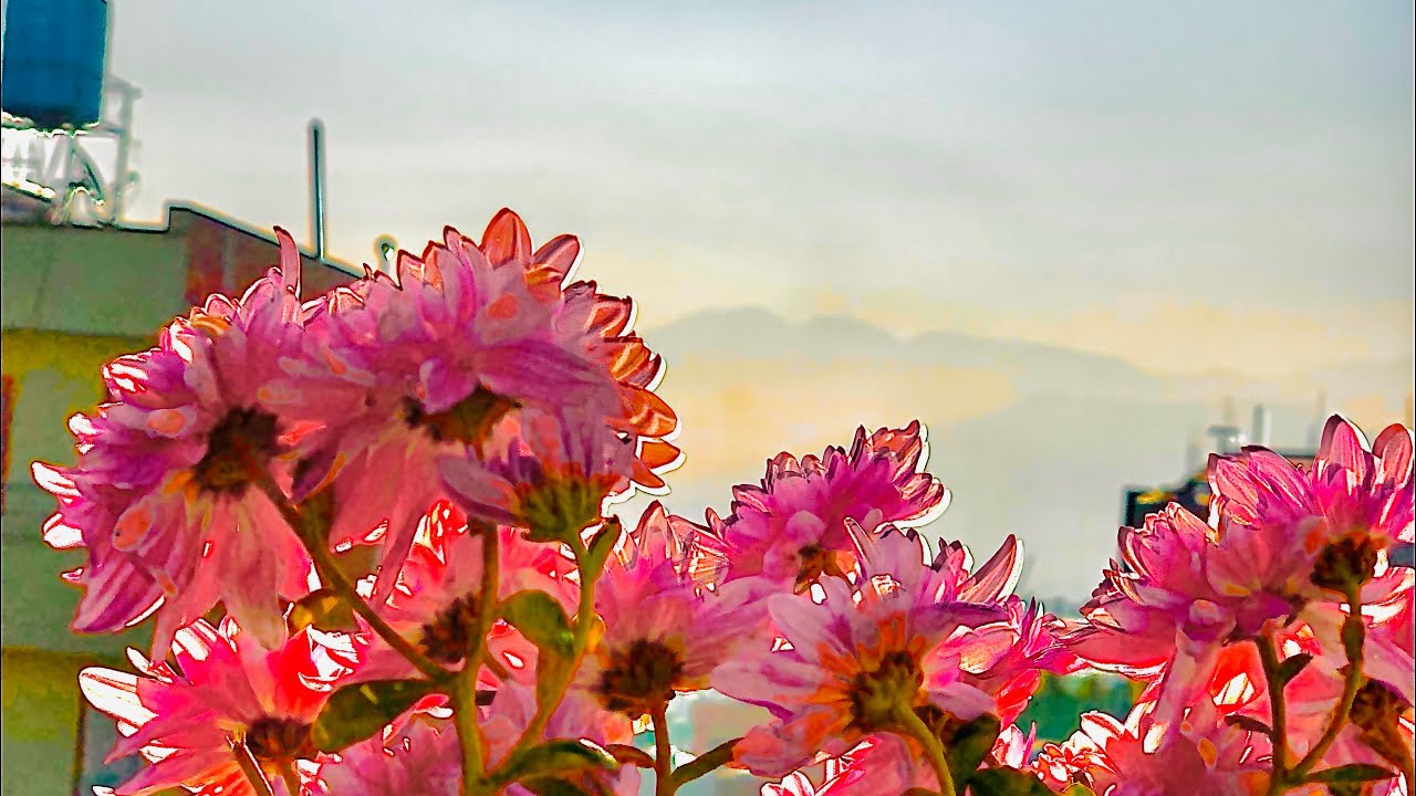 Badlapur song || Jeena Jeena ️💐 - YouTube