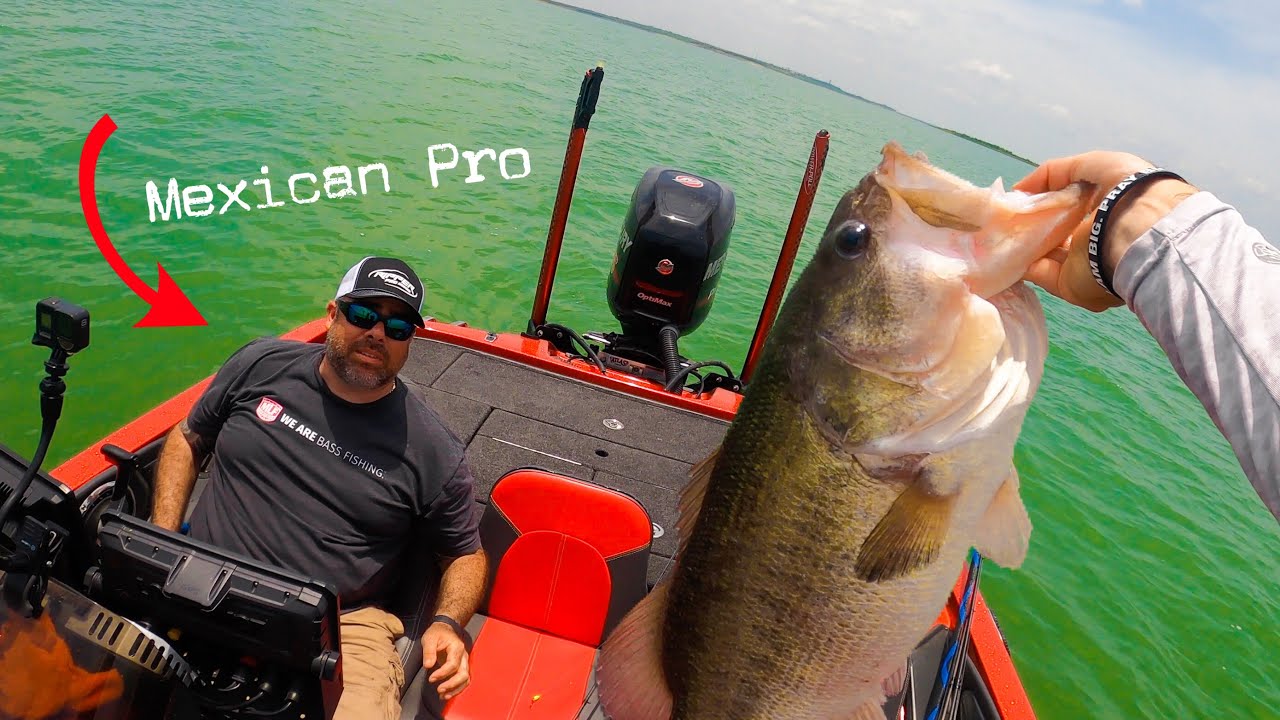 30+LB Bag in 3 HOURS! [Mexico Bass Fishing] - YouTube