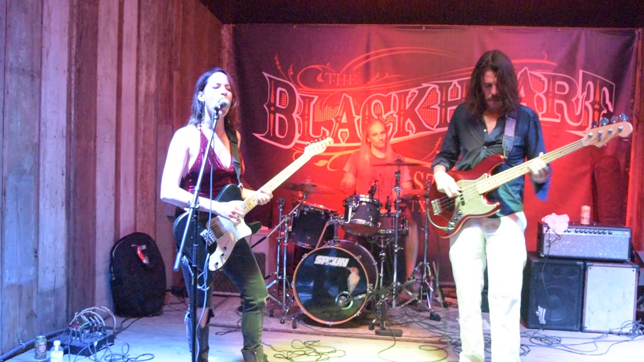 Megafauna-Austin, Texas - YouTube