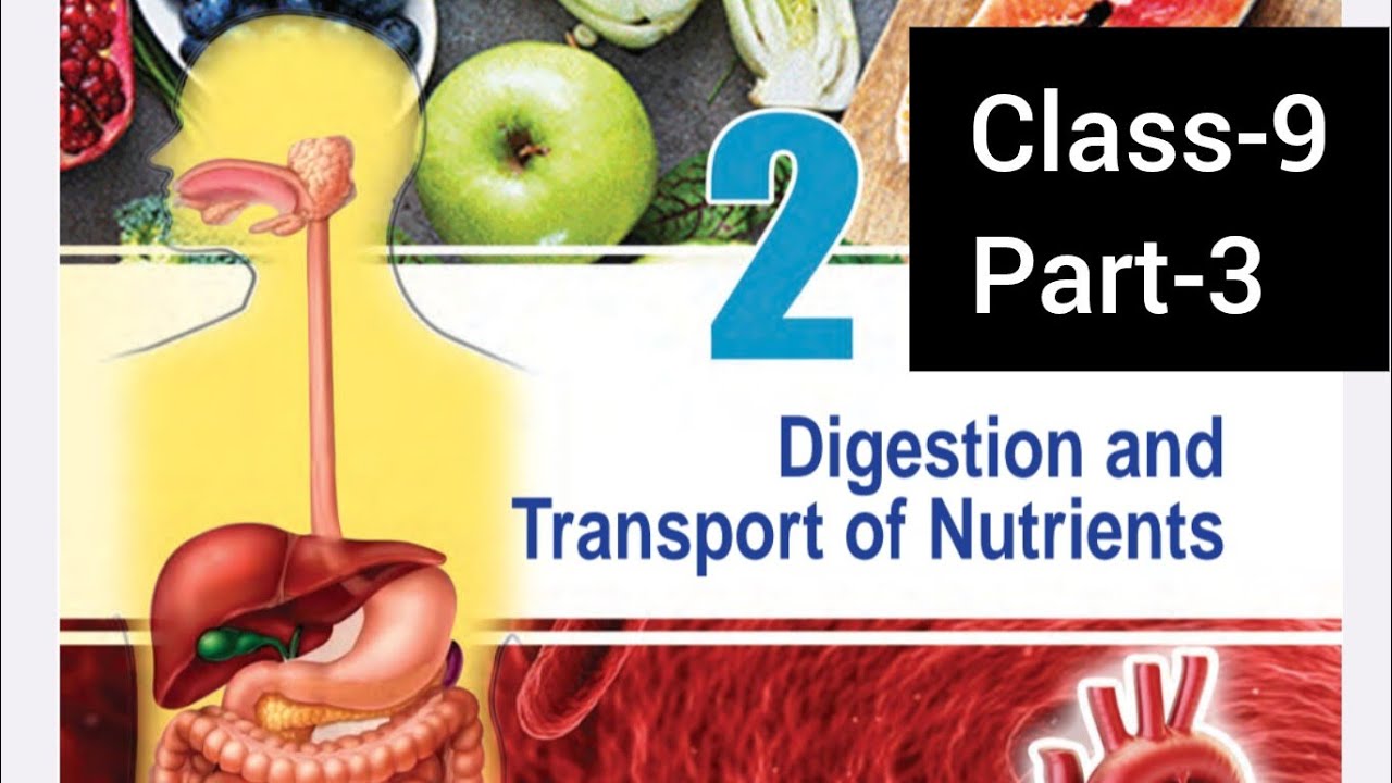 Digestion and transport of nutrients:chapter 2:Class 9 -#SCERT BIOLOGY ...