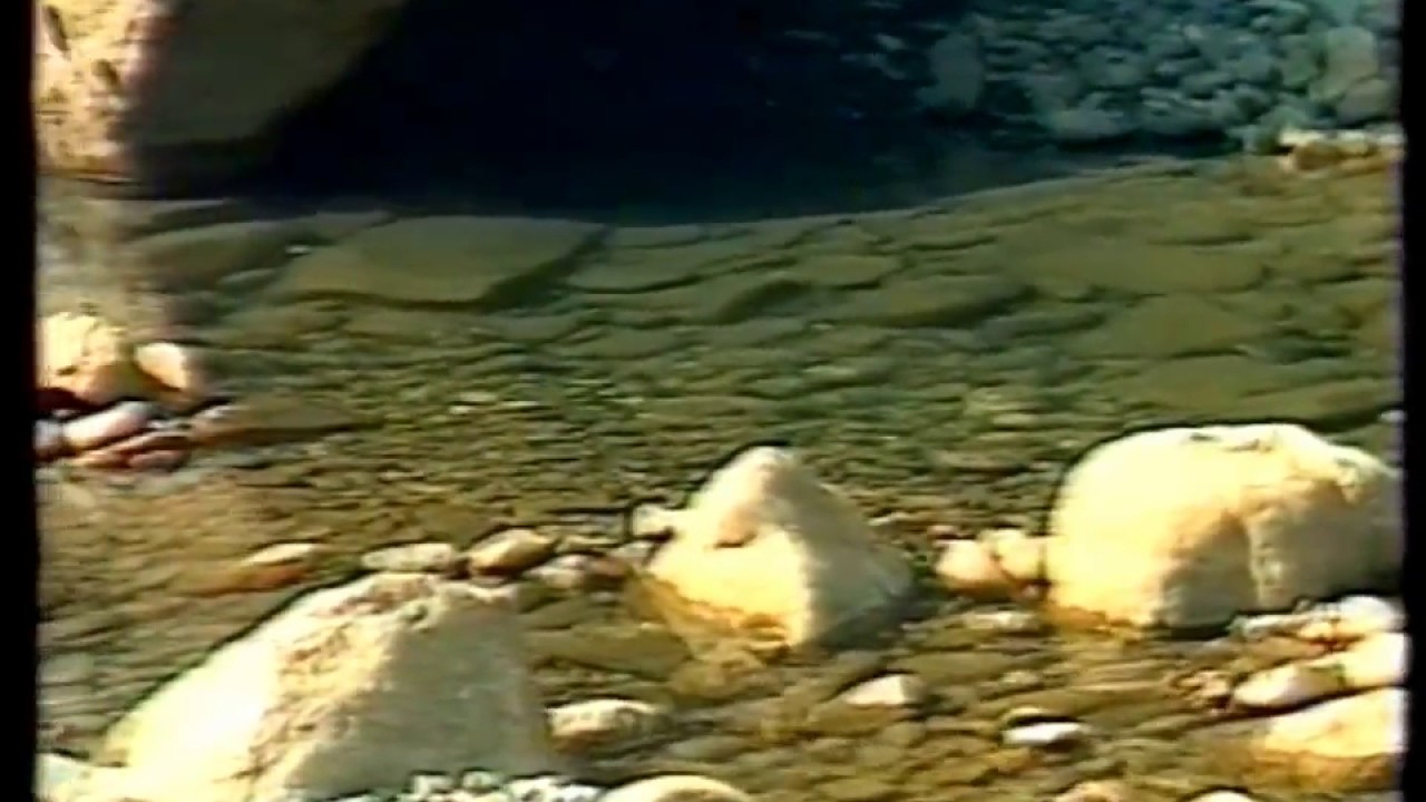 ΓΑΡΔΙΚΙ ΤΡΙΚΑΛΩΝ (1ο)-ΕΡΤ 1982-ΣΩΤ. ΓΟΡΓΟΓΕΤΑΣ - YouTube