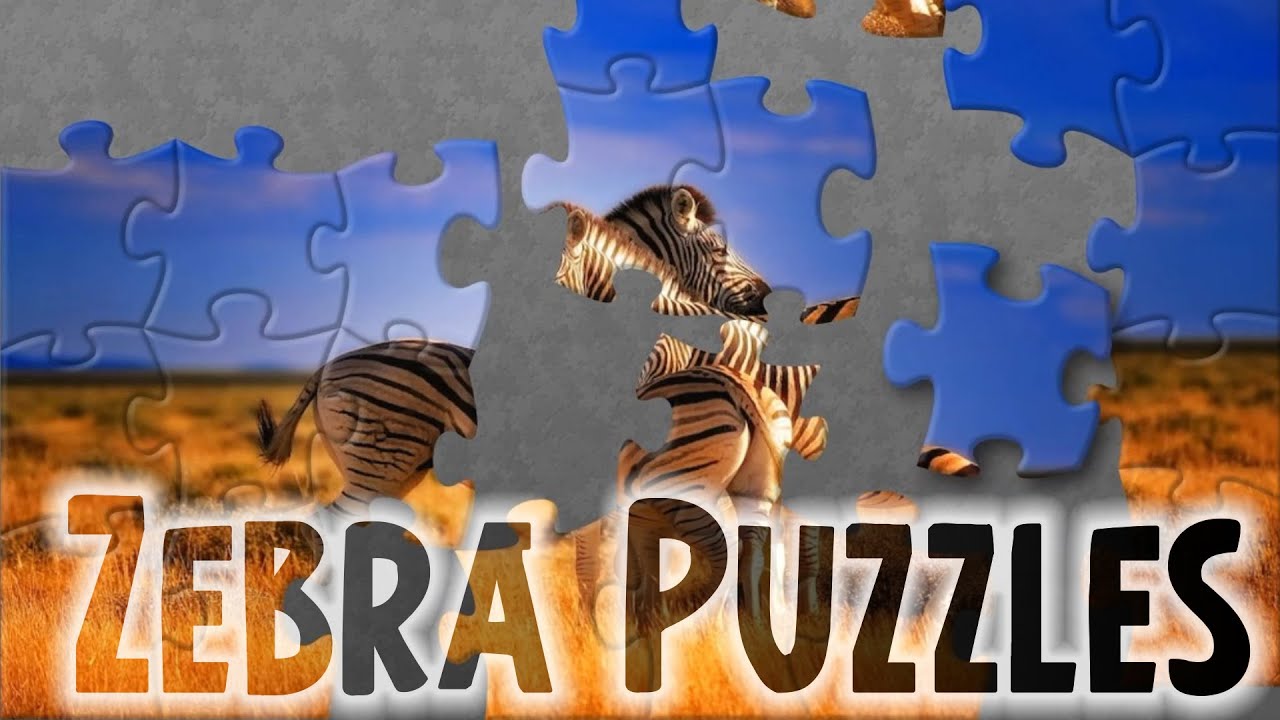 Zebra puzzles #zebra #africawildanimals #animalspuzzle - YouTube