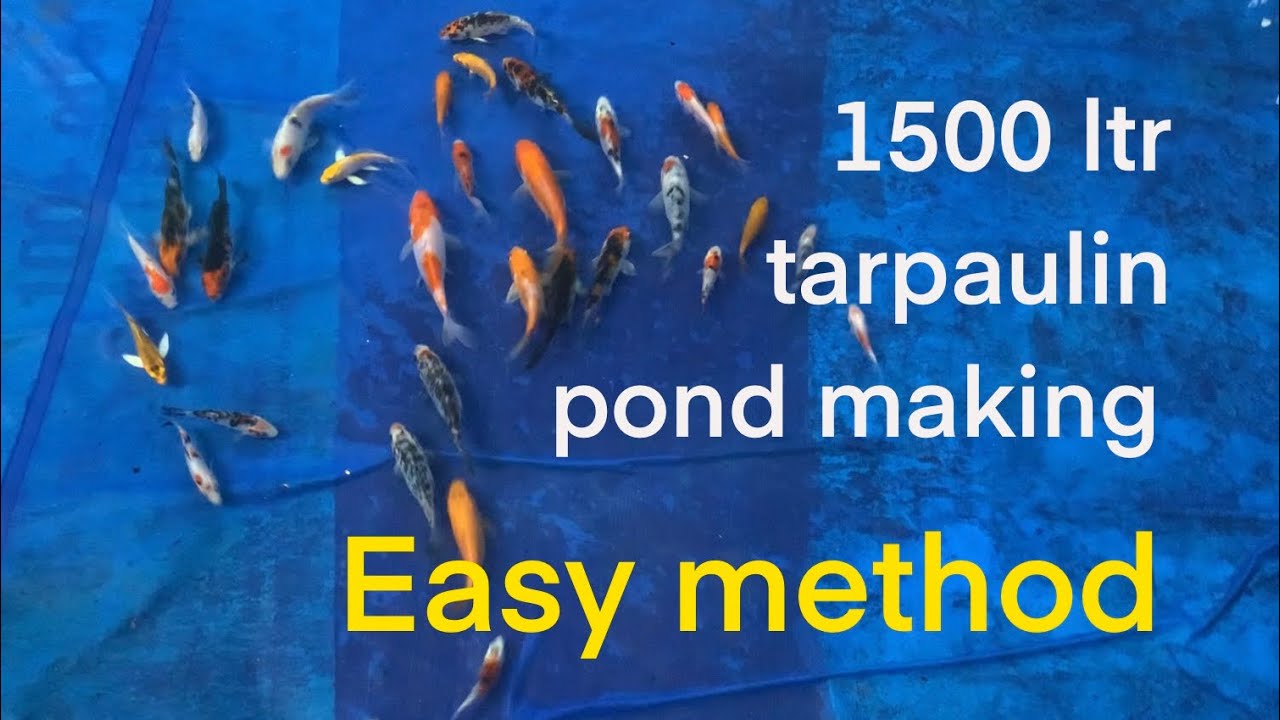 Simple Tarpaulin Pond Making - koi pond | Wander Bros - YouTube