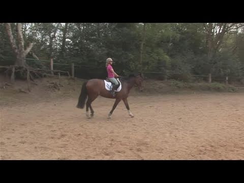 How To Turn Right Riding A Horse - YouTube
