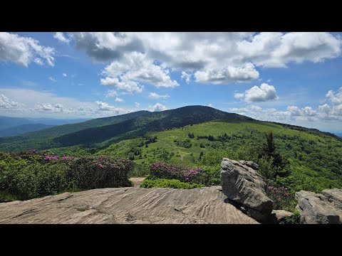 Day 49 Appalachian Trail NoBo Thru-hike 2026-Roan Mountain 