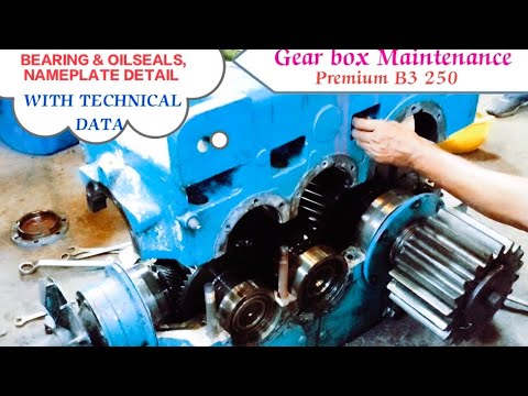 Maintenance of PREMIUM B3 250 Gearbox with Assembly data and bearings ...