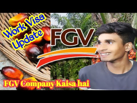 Malaysia🇲🇾FGV Company Ka हकीकत|FGV Plantation Company kaisa hai|Felcra ...