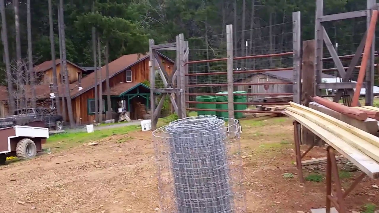 Garden update March 2016 off grid solar homestead - YouTube