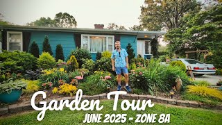 GARDEN TOUR @ Naughty Pine - JUNE 2025 / Amazing COLOR!