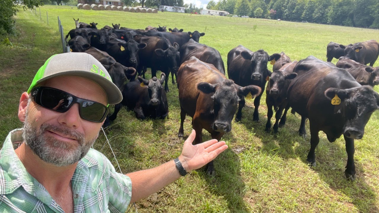 🔴 Why small farmers are going broke! - YouTube