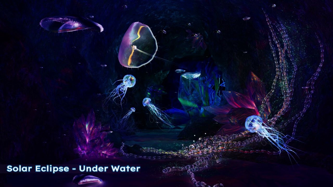 Solar Eclipse - Under Water - YouTube