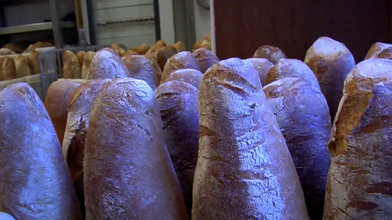 Best Bakery in Rome! Visit Forno Campo de' Fiori for delicious Italian ...