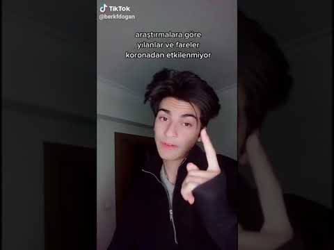 bu benim eski sevgilim değil mi (yılan)