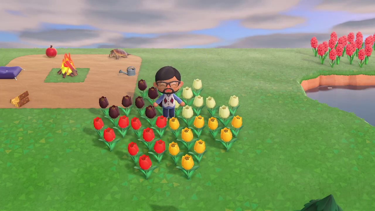 Miigwech - Thank you - National Indigenous Peoples Day - YouTube