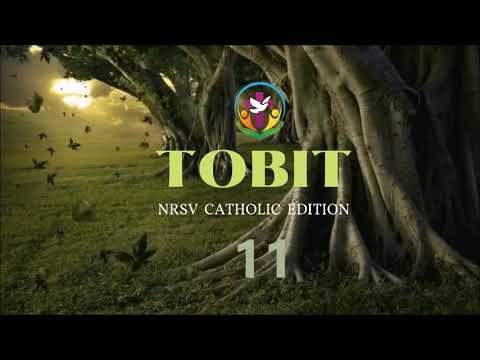 Tobit 11 | English Audio Bible | AFCM | NRSV Catholic Edition - YouTube