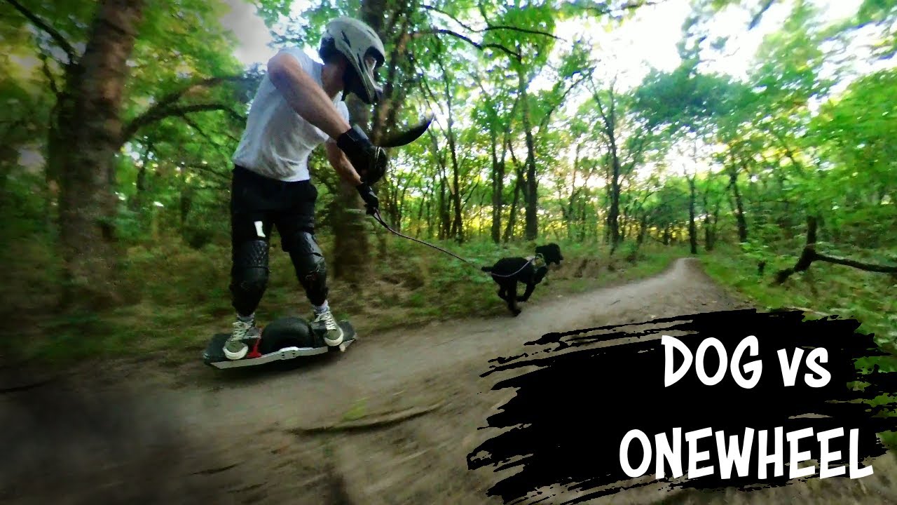 DOG VS ONEWHEEL XR - VESC - YouTube